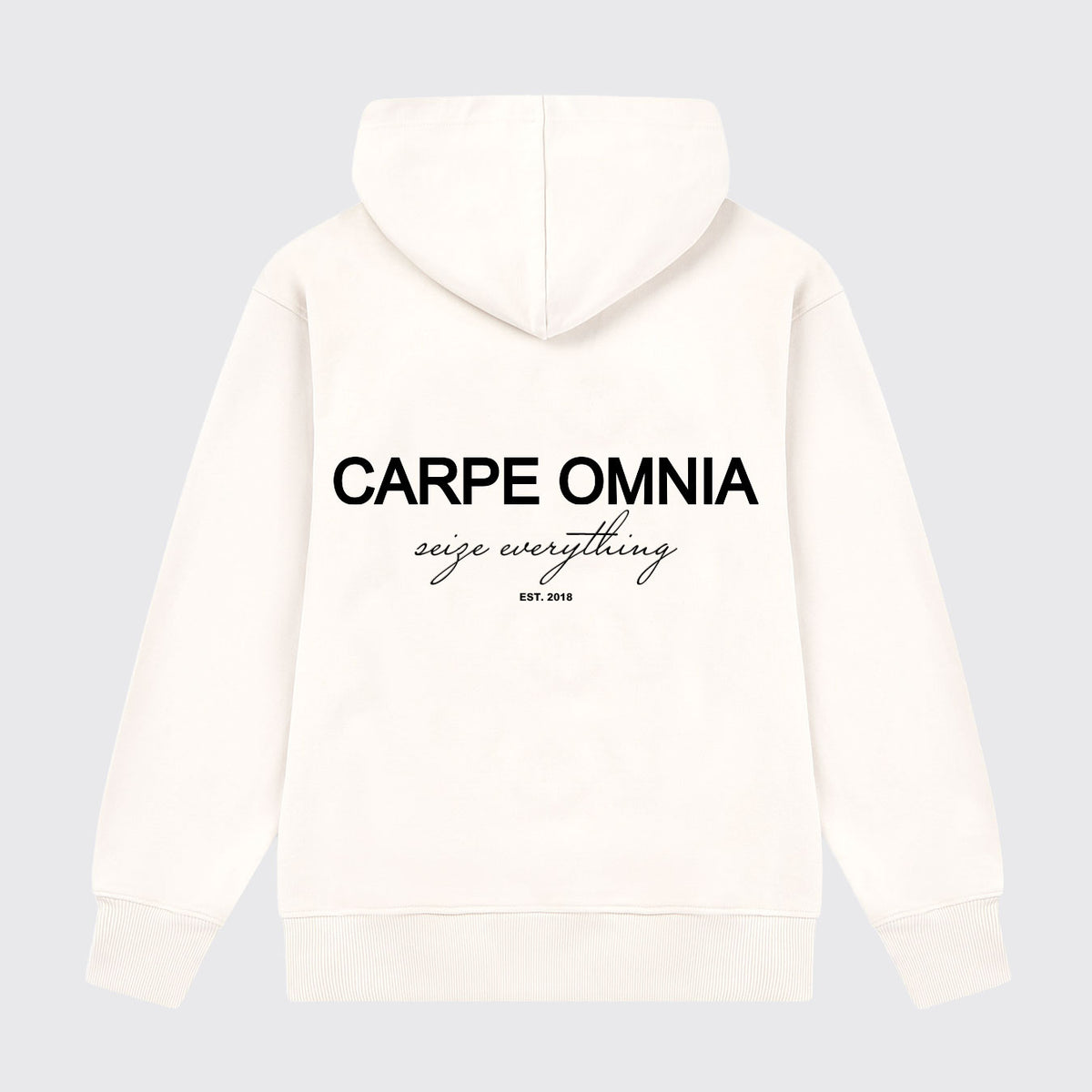 Definition 2.0 Hoodie Ecru – CARPE OMNIA