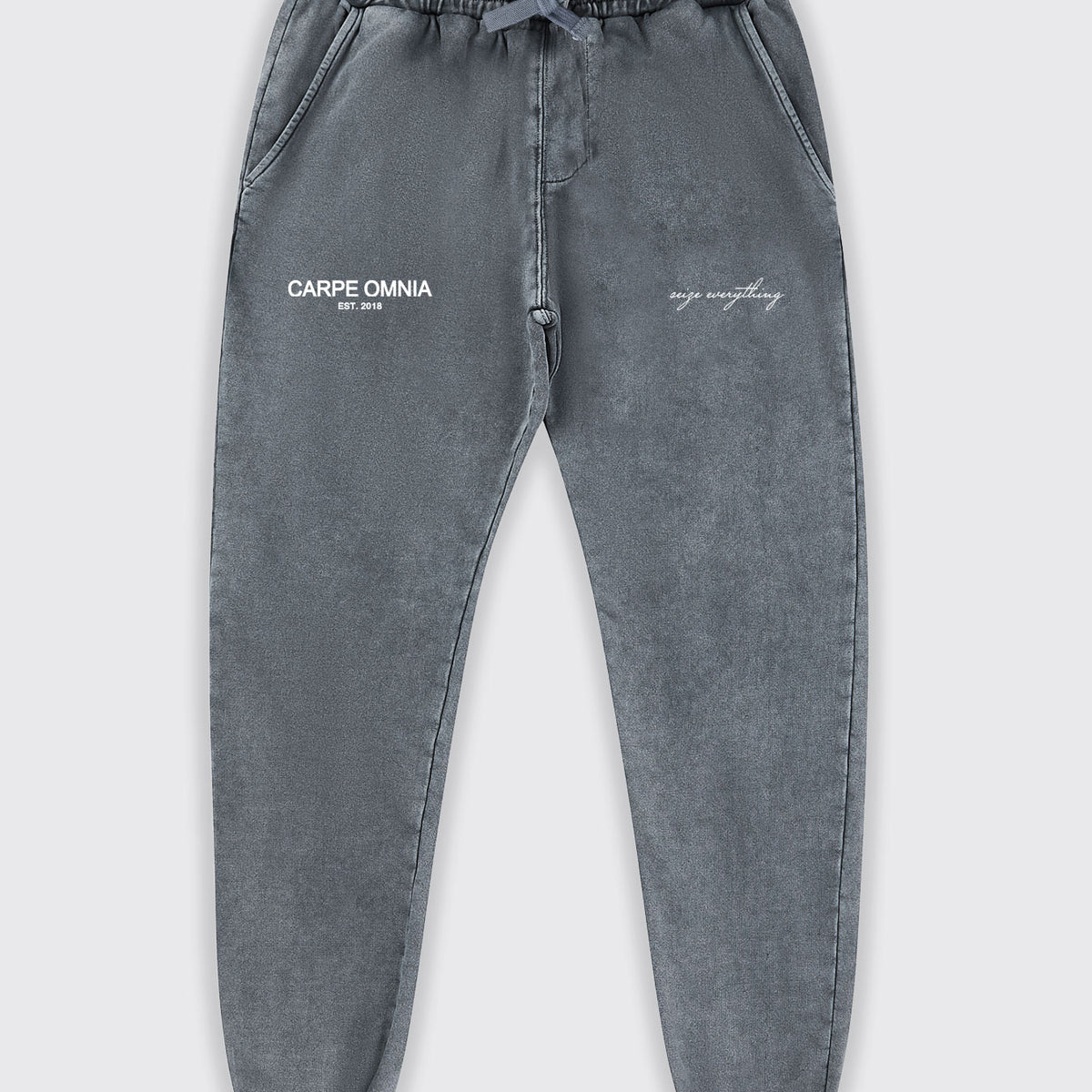Definition Sweatpants Acid Grey – CARPE OMNIA