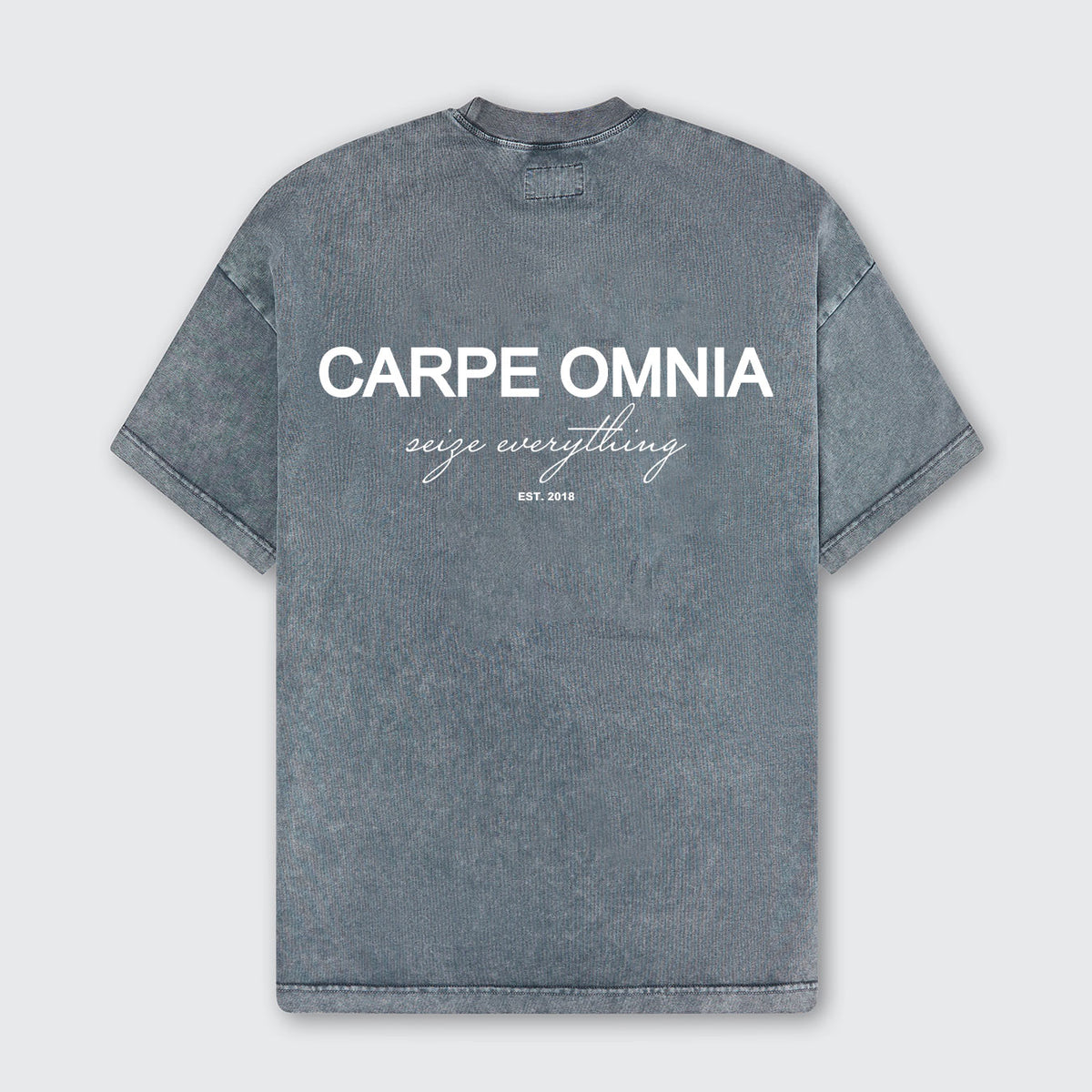Definition 2.0 T-Shirt Acid Grey – CARPE OMNIA